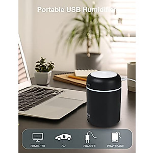 Portable Mini Humidifier, Fioyal RGB Light Small Humidifiers for Bedroom, Car, Desktop, 2 Cool Mist Modes, Quiet(300ML, Black)
