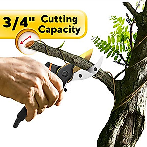 Premium Bypass Pruning Shears for your Garden - Heavy-Duty, Ultra Sharp Pruners w/Soft Cushion Grip Handle Made with Japanese Grade High Carbon Steel - Perfectly Cutting Through Anything in Your Yard