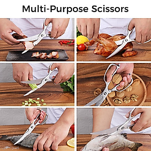 Sunnecko Kitchen Scissors for Food, Kitchen Scissors Heavy Duty Kitchen Shears That Come Apart, 9 Inch Fully Forged Stainless Steel with Curved Blades