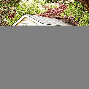 AVOIN colorlife Spring Summer Flower Cat Garden Flag 12x18 Inch Double Sided Outside, Yellow Daisy Sunflower Welcome Yard Outdoor Flag