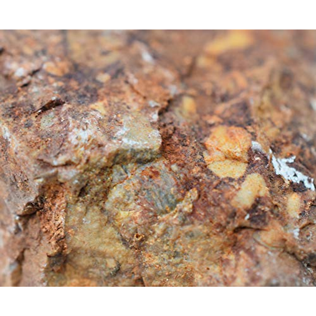 Raw Breccia, Sedimentary Rock Specimen - Hand Sample - Approx. 3" - Geologist Selected & Hand Processed - Great for Science Classrooms - Eisco Labs