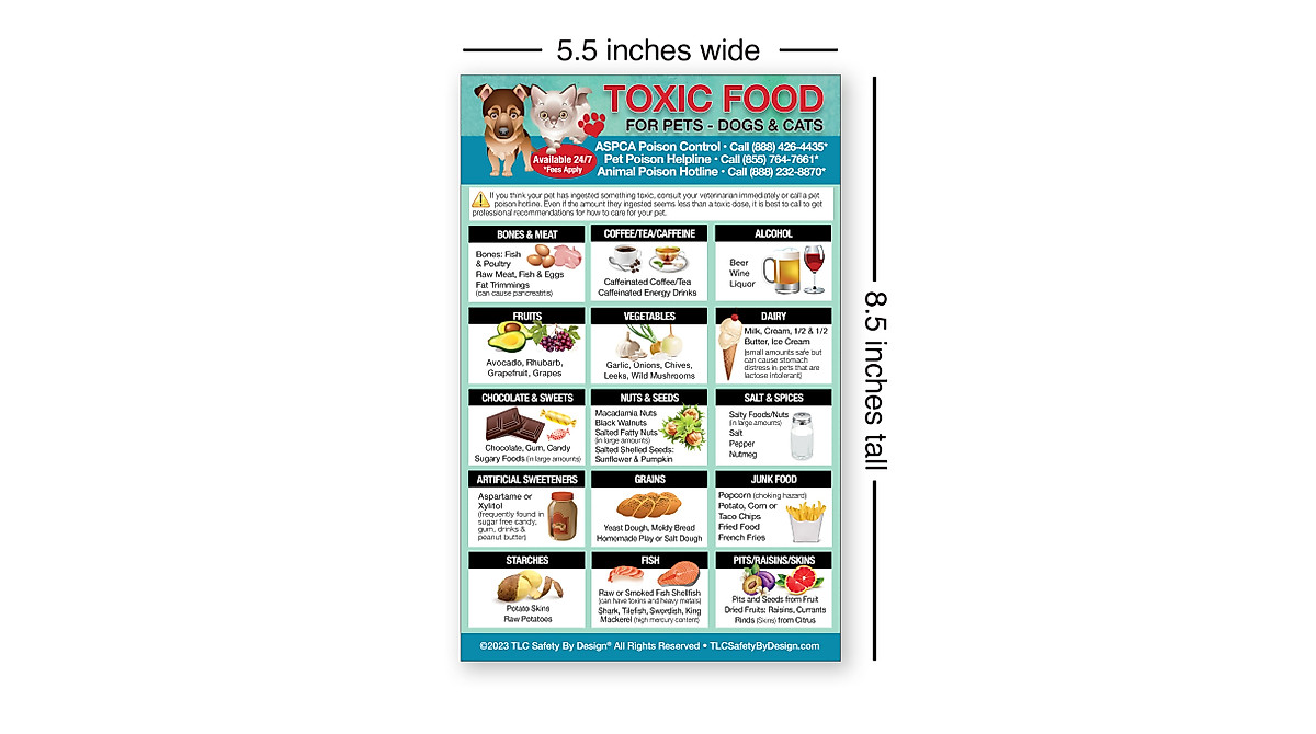 Toxic Foods Fridge Magnet for Pet Safety