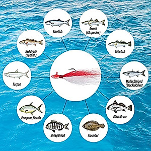 Dr.Fish 269 Pieces Surf Fishing Tackle Kit with Box, Saltwater Fishing Tackle Pompano Rigs Making Set Bucktail Jigs Saltwater Lures Walking Bait Pier Surf Casting Sea Tackle Kits Lead Pyramid Sinkers