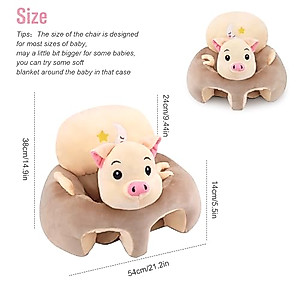 RoamReady Toddler Infant Baby Chairs for Sitting Up 3-6-12 Months, Infant Support Floor Seats for Babies Comfy Plush Stable Newborn Learn to Sit Up Chair Gift(Piggy)