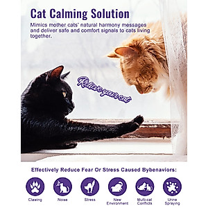 lesotc Cat Pheromones Calming Diffuser Effectively Relieve Anxiety Stress Cat Calming Diffuser Multicat Pheromones Diffuser Refill Reduce Fighting Spraying and Scratching Calm Relaxing Fits All Cats