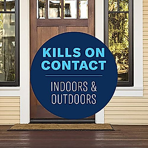BioAdvanced Carpenter Ant & Termite Killer Plus, Ready-to-Use, 1 Gal