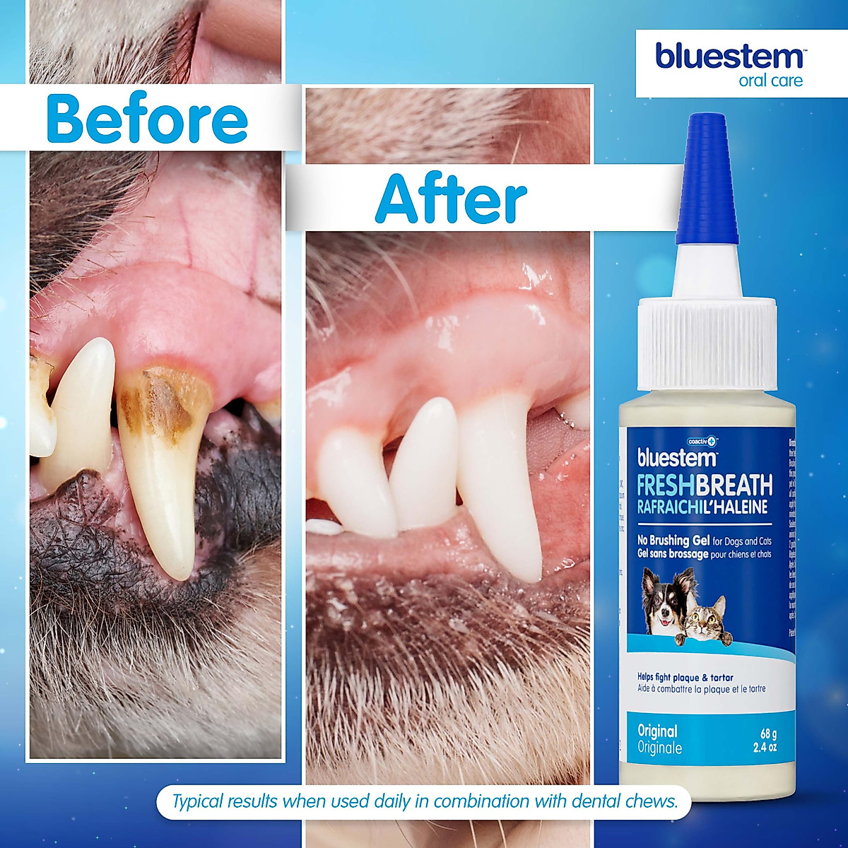 bluestemTM No Brush Dog Dental Gel - Dog Oral Gel to Freshen Breath, and Fights Plaque and Tartar - Brushless Toothpaste for Dogs
