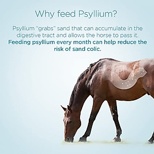Formula 707 Psyllium Pellets Equine Supplement (3lb Jar - 12 Day Supply)