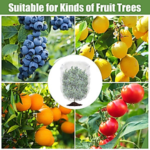 TMFsode 3 Pack Insect Bird Barrier Mesh Netting with Drawstring, 4.9 Ft x 3.2 Ft Blueberry Bush Netting, Protective Garden Mesh Plant Covers for Tomatoes, Fruit Tree, Flowers, Vegetables