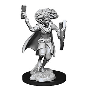 D&D Nolzur's Marvelous Miniatures: Changeling Cleric