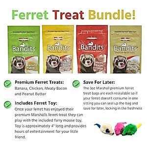 Marshall Bandit Ferret Treats - Includes Marshall Ferret Bandit Treats and Ferret Toy - Ferret Vitamins - 3oz Sealable Bags of Banana Treats, Bacon, Chicken, Peanut Butter and Raisin Flavor