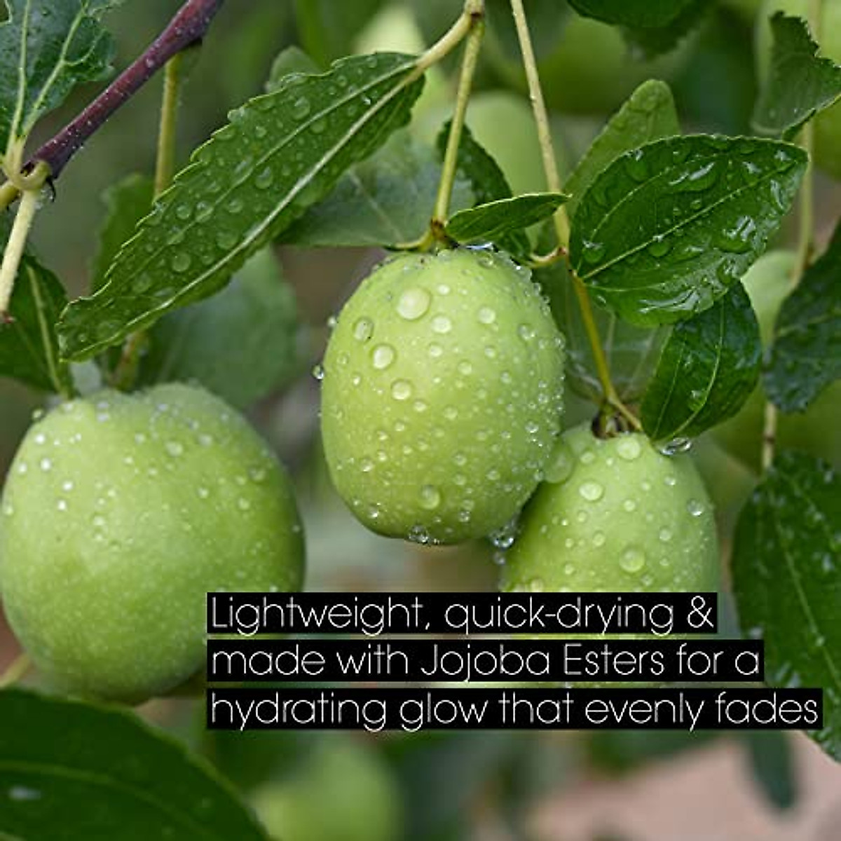 St.Tropez Self Tan Classic Mini Kit, Travel Size, Fake Tan Mousse 1.69 Fl Oz and Applicator Mitt, Vegan, Natural & Cruelty Free