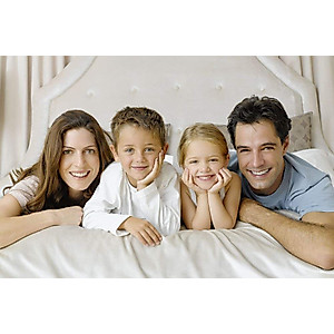 Nanko Queen Size Comforter Set, Grey Pastel Floral Print Soft Microfiber Bedding - All Season Quilted Comforter with 2 Pillowshams - Farmhouse Bed Set for Women Men 3pc 88 x 90 inch, Gray Flower