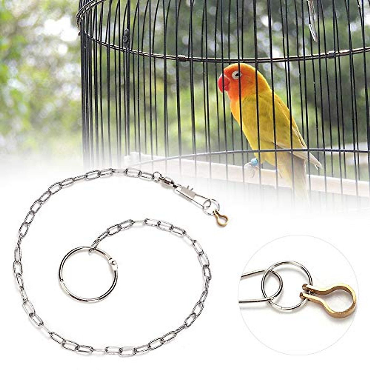 ViaGasaFamido Bird Leash, Stainless Steel Bird Foot Chain with Ring Parrot Ankle Foot Ring Anti-bite Outdoor Flying Training Rope(Grey Parrot)