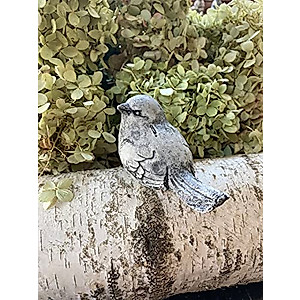 Outdoor Yard Decor, Fairy Garden Accessories, Housewarming Gift for Bird Lovers, Resin Stone Tabletop Figurines Set of 2