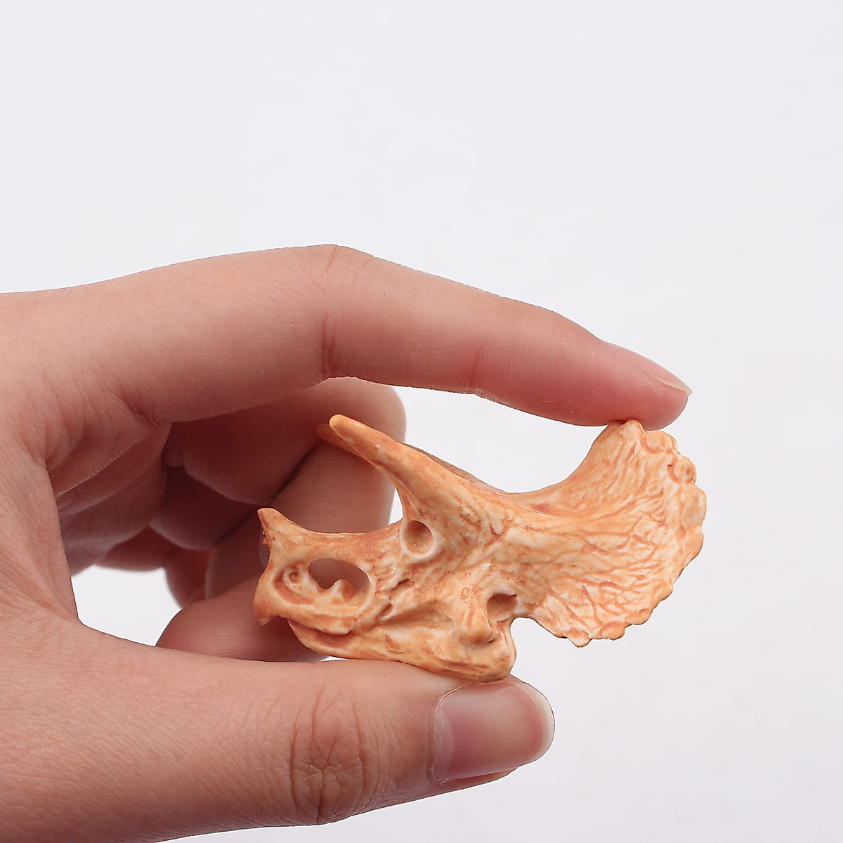 LC JoyCre Mini Dinosaur Bones for Sandbox Kids Toys Realistic Fake Dinosaur Bones for Kids Toys Dinosaur Bones for Kids to Dig Up