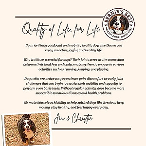 Bernie's Marvelous Mobility - Daily Dog Hip and Joint Supplement - Maintains Overall Well Being & Promotes a Healthy Immune System (90 Count)