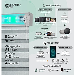 Yoolax Motorized Zebra Blinds Works with Alexa, Motorized Blinds with Remote Custom Size, Privacy Electric Blinds Zebra Blinds for Windows (White Matte)