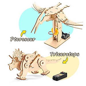STEM Projects Kits for Kids Age 8-10-12, 4 in 1 3D Wooden Puzzles Dinosaur Craft for 6-8, Building Toys for Boys Ages 8-12, Wood Woodworking Model Kits, DIY Dino Robot Kit