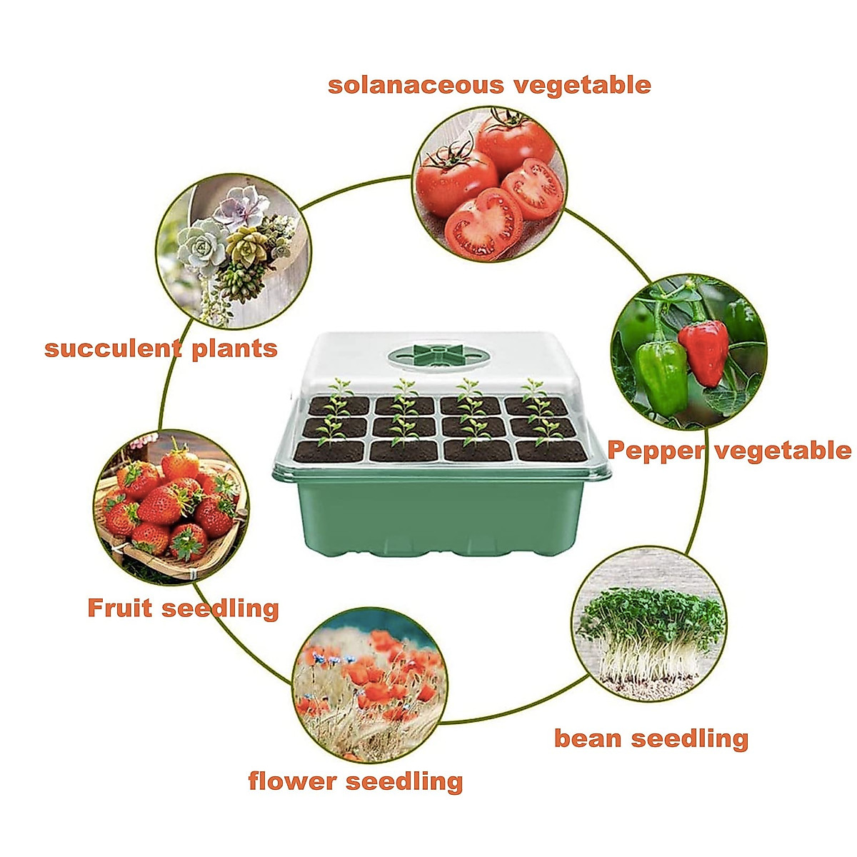 MYLTW 5 Pack Seed Starter Tray Seedling Tray Kits,Adjustable Humidity Plant Starter Dome and Base Greenhouse Grow Trays for Seeds Growing Starting(12 Cells Per Tray
