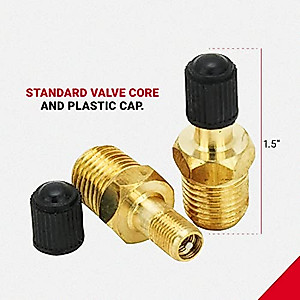 Milton S-684-4 1/4" MNPT Male Tank Valve, includes Protective Caps (Pack of 2)