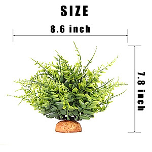 WOLEDOE Fake Green Boston Fern, Reptile Plants for Terrarium, Amphibian Tank Accessories Habitat Decor fit Crested Gecko Leopard Lizard Chameleon Ball Python Snake Frog