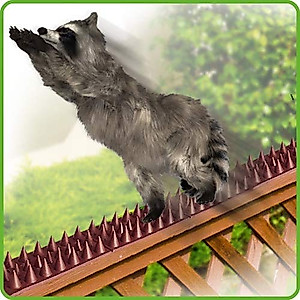 DE-BIRD: Defender Spikes, Cat and Bird Deterrent - Outdoor Pest Defender to Keep Off Pigeon, Squirrel, Woodpecker & More. Plastic Deterrent Anti Theft Climb Strips - 20pk [20 Foot]