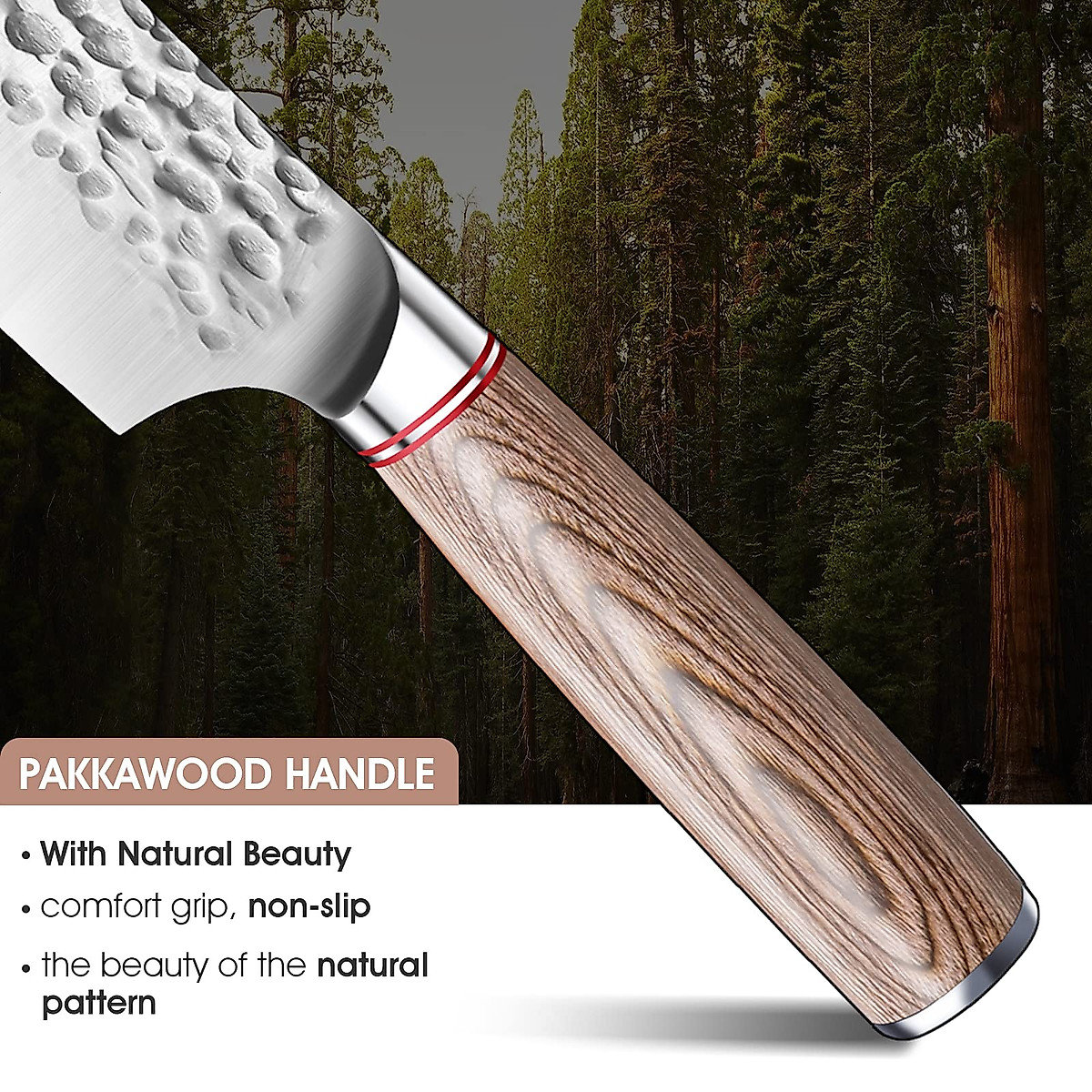 Huusk Japan Knife 8-inch Chef Knife Professional Hand Forged Kitchen Knife High Carbon Steel Sharp Japanese Gyutou Chef Knives for Meat Vegetables - Wood Handle with Gift Box