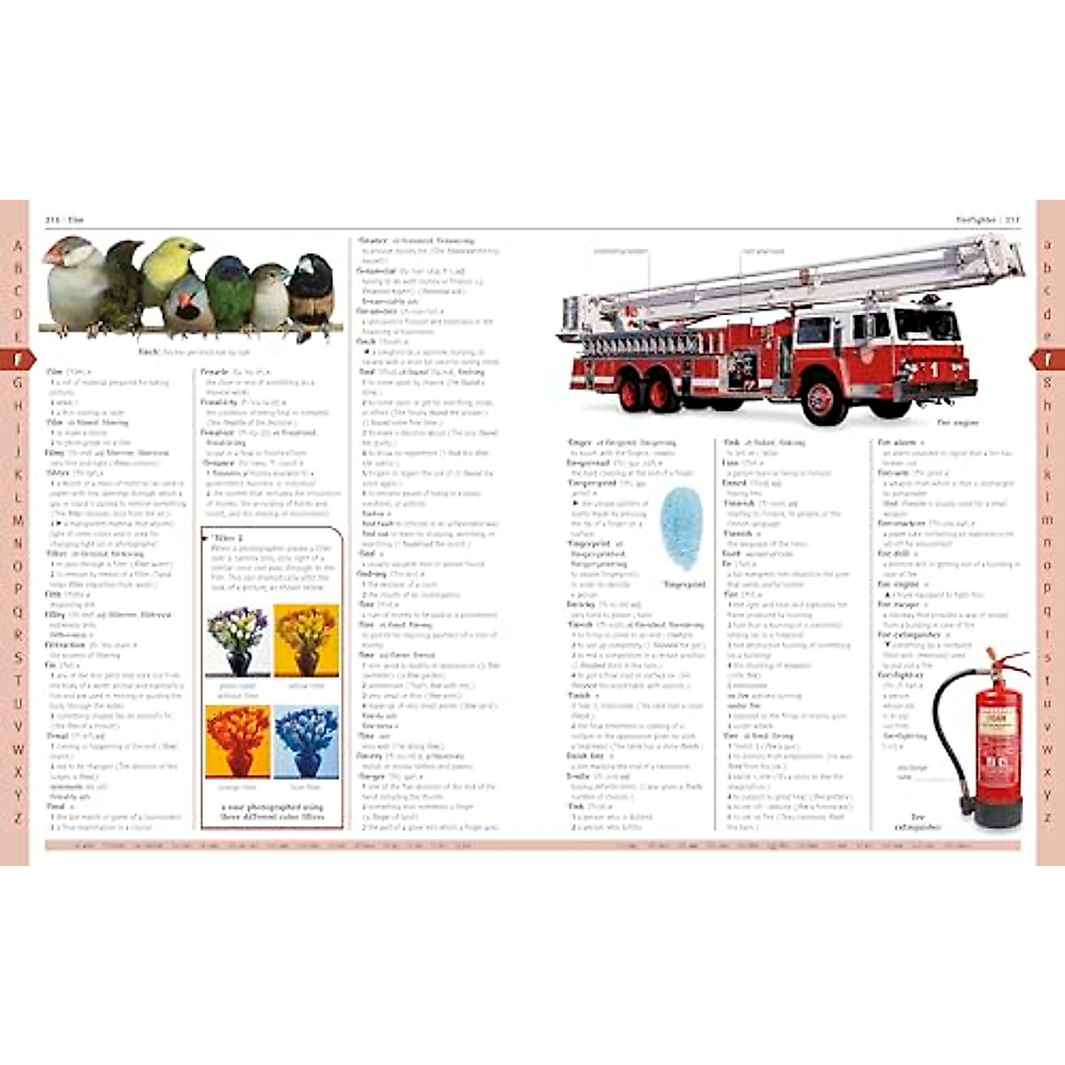 Merriam-Webster Children's Dictionary, New Edition: Features 3,000 Photographs and Illustrations