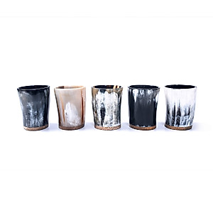 Norse Tradesman Ox-Horn Shot Glass Set (5) - 2 oz Mini-Drinking Horns for Toasting Spirits