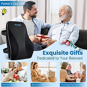 Lumbar Support Pillow for Office Chair Car Lumbar Pillow Lower Back Pain Relief Memory Foam Back Cushion with 3D Mesh Cover Gaming Chair Back Pillow Ergonomic Orthopedic Back Rest for Wheelchair Desk