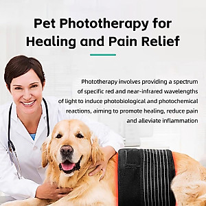 MANON ROSA Red Infrared Light Therapy Belt Pets: Portable Wearable Device for Tissue Repair Relieving Sciatica Joint Back Pain in Small Medium Large Dogs Cats (Small,60 Lamp Beads)
