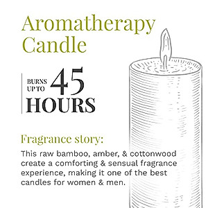 Candle-lite Premium Bamboo Santal Scent, 14 oz. 3-Wick Aromatherapy Candle with up to 45 Hours of Burn Time, Green