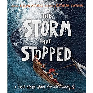 The Storm That Stopped