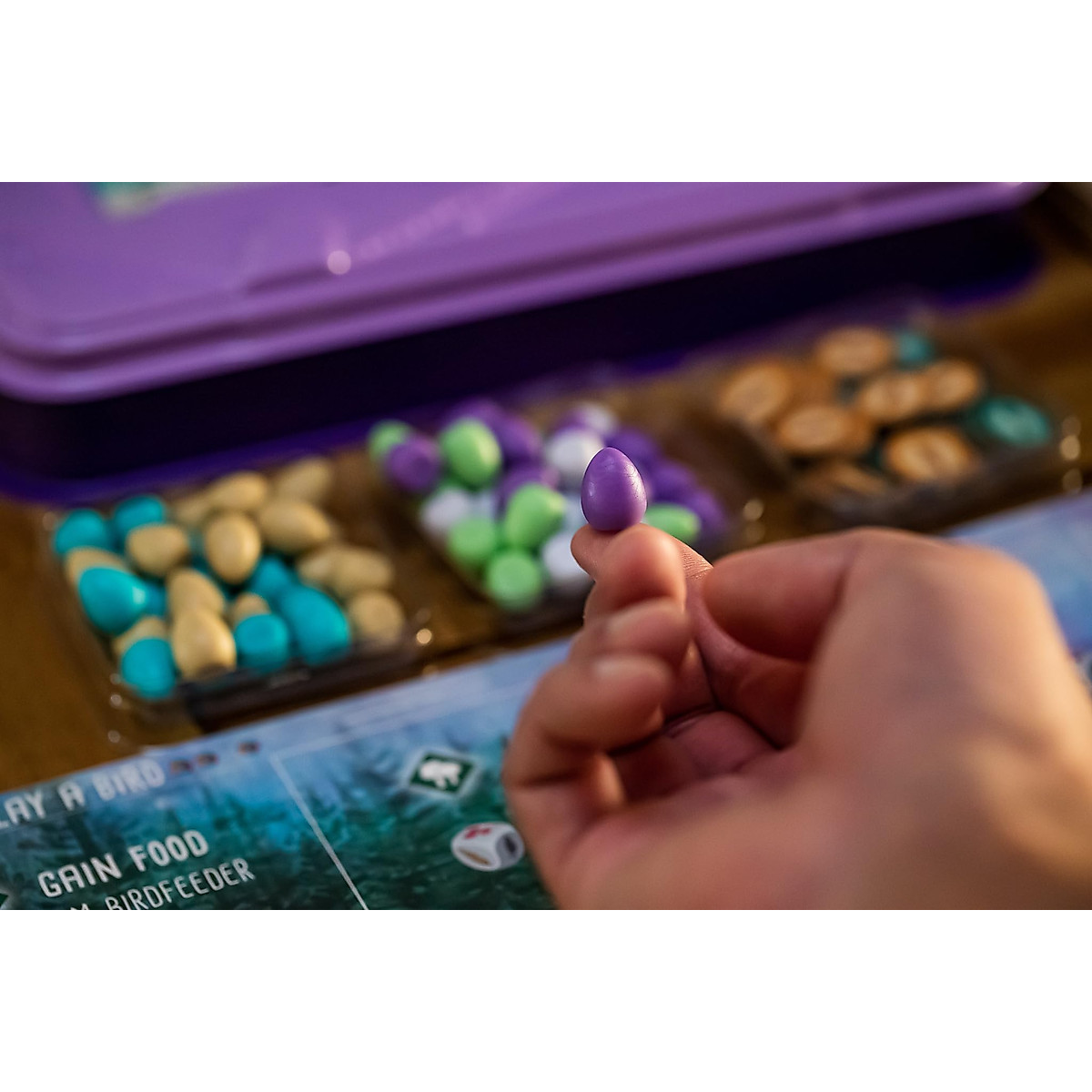 Stonemaier Games: Wingspan European Expansion | Add to Wingspan (Base Game) | 81 Unique New Birds, New Egg Color | 1-5 Players, 70 Mins, Ages 14+