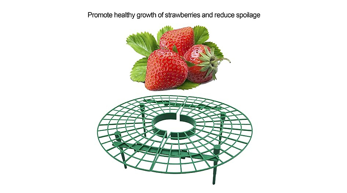 Iceyyyy 5-Pack Strawberry Supports for Healthy Growth