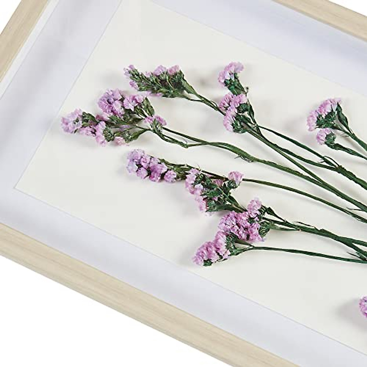 Madison Park Wall Art Living Room Décor - Sundried Natural Flowers in Shadowbox Frame, Floral Home Accent, Bedroom Decoration, Ready to Hang, 12" W x 24" H x 1.25" D, Multi 2 Piece