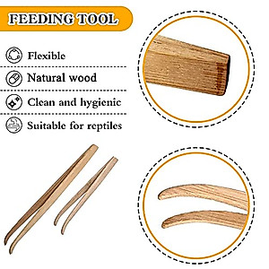 ASOCEA Reptile Bamboo Tweezers Lizard Feeder Tongs Feeding Tools for Bearded Dragons Lguanas Lizards Turtles Geckos Corals(Pack of 2)