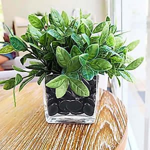 GASPRO 8lb Black River Rocks for Plants, Vases, 1 to 2 Inch Decorative Pebbles for Pots Indoor, High Polished