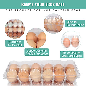 SINLUCESCE 60 Packs Egg Cartons Cheap Bulk，Plastic Egg Carton for 12 Eggs， Clear Egg Carton 2 * 6 Grids，Perfect for Refrigerator Chicken Farm Markets Commercial Business Market Display, Large