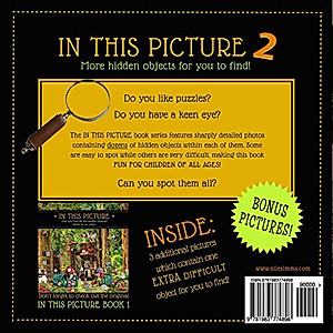 In This Picture 2 - More Hidden Objects for You to Find!