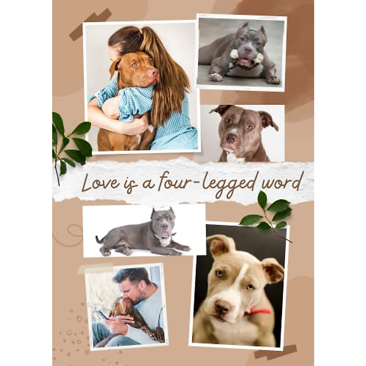 InnoBeta Pitbull Gifts for Pitties Lovers, Pitbull Flannel Blanket Throws for Pitt Dog Mom Dad, 50 x 65 inches, Perfect for Birthday Christmas Thanksgiving Mother's Day