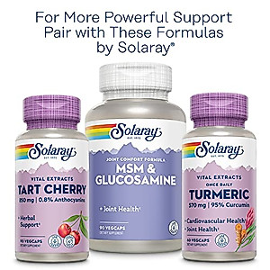 Solaray Celery Seed 1010 mg, Traditional Liver, Water Balance, and Joint Support, Whole Celery Seeds with Phytochemicals and Flavonoids, Vegan, Lab Verified, 60-Day Money-Back Guarantee, 50 Servings, 100 VegCaps