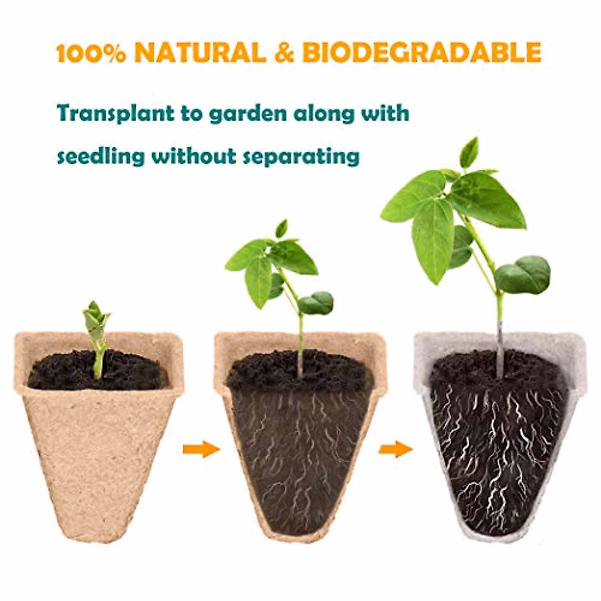 macoya Seed Starter Tray, Seedling Starter Peat Pots Kits, Biodegradable Compostable Planting Pots for Vegetable Fruit Flower, Indoor Outdoor & Organic Garden, 150 Cells Plus 30 Plant Labels
