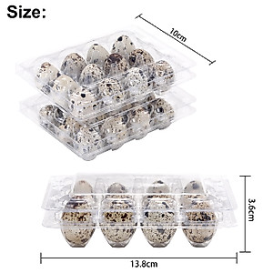 LayHyand 60 Pcs Quail Egg Cartons, Square Dozen Egg Boxes, Classical 3x4 Style Holds Up to Twelve 12 Count Small Quail Eggs Basket, Pigeon Eggs, Bulk Carton Quail Egg Tray Container for Refrigerator