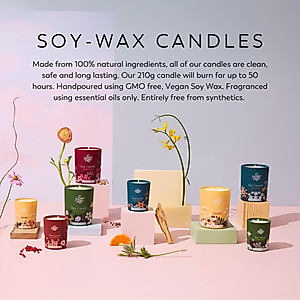 The Handmade Soap Company Natural Soy Wax Candle, Lemongrass & Cedarwood Scented Candle, 50 Hour Burn, Non Toxic Candles, Cruelty Free & Vegan Scented Candles, 7.4oz