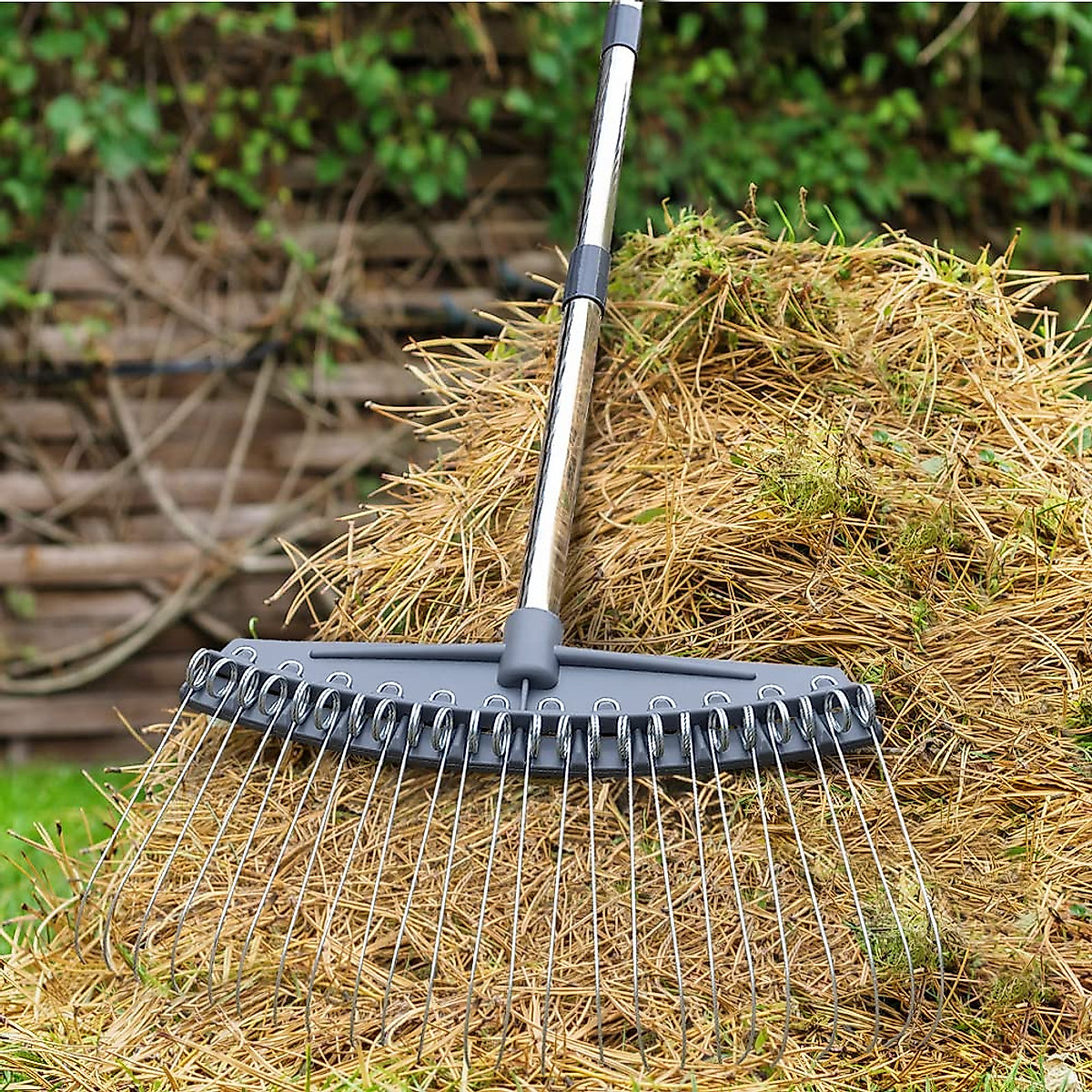 Colwelt Thatch Rake -24 Steel Tines, Dethatching Rake with 54’’ Lightweight Stainless Steel Handle, Yard Dethatcher Rake for Lawn(Pine Needles, Dead Grass, Thatch, Leaves, Mulch)