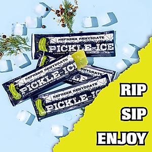 Van Holten's Pickles - Pickle-Ice Freeze Pops - 24 Pack