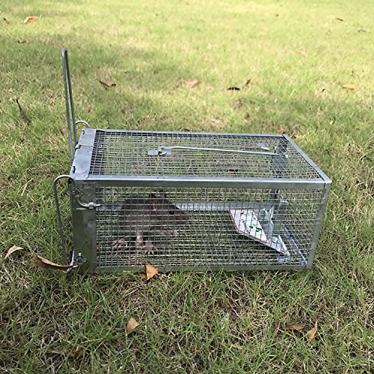 Kensizer Humane Rat Trap, Chipmunk Rodent Trap That Work for Indoor and Outdoor Small Animal - Mouse Voles Hamsters Live Cage Catch and Release