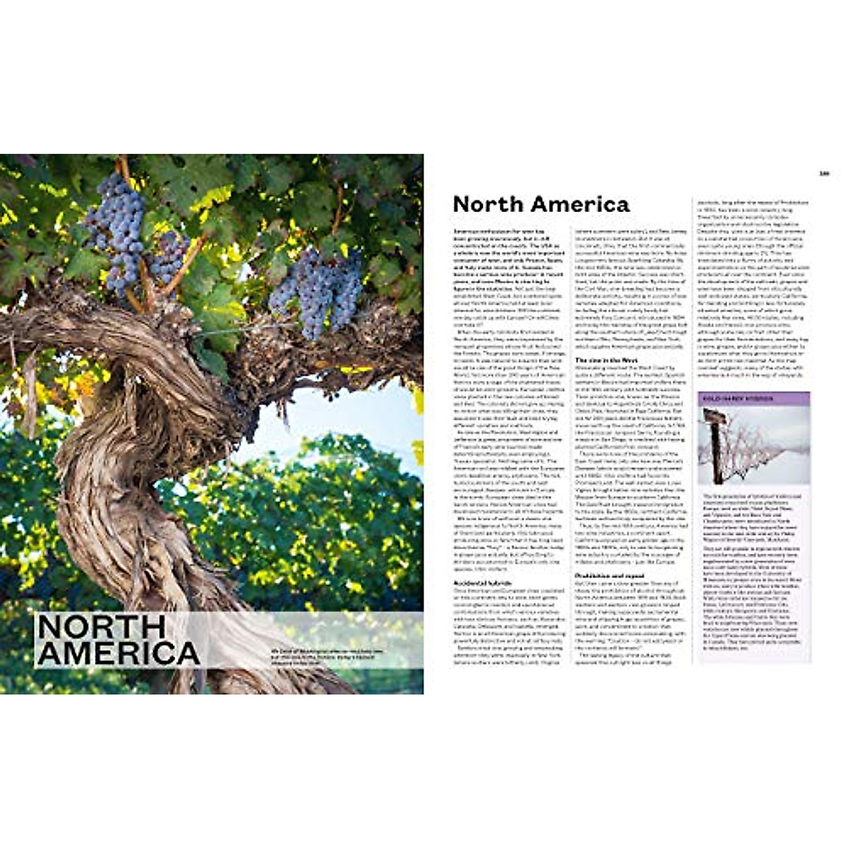 The World Atlas of Wine 8th Edition